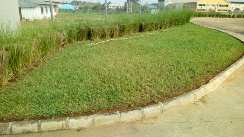 Asaba mall, Delta state - Fitzwilliams Ventures Limited